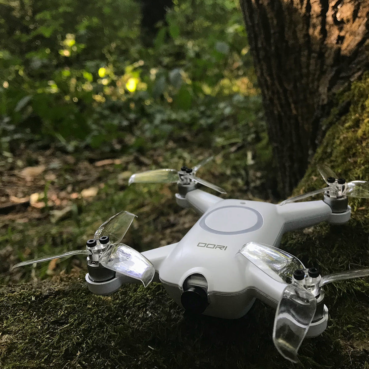 OOri — UVify Store